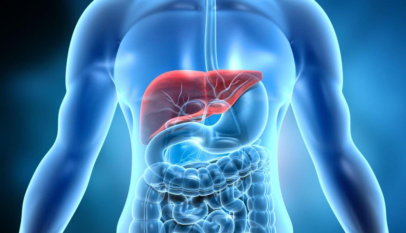 5 Amazing 3D Rendering Examples and What You Can Learn from Them - 3D ...